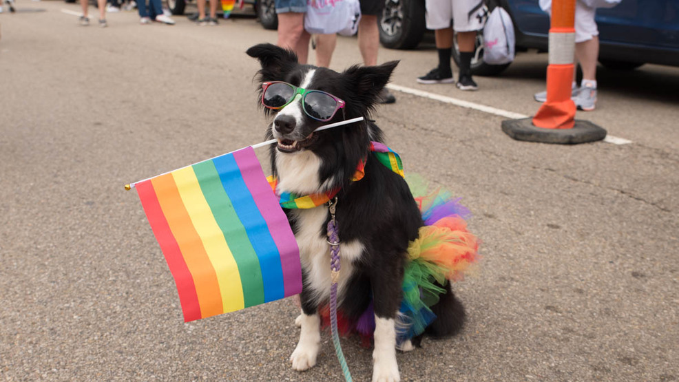 Photos From The 2018 Cincinnati Pride Parade Cincinnati Refined