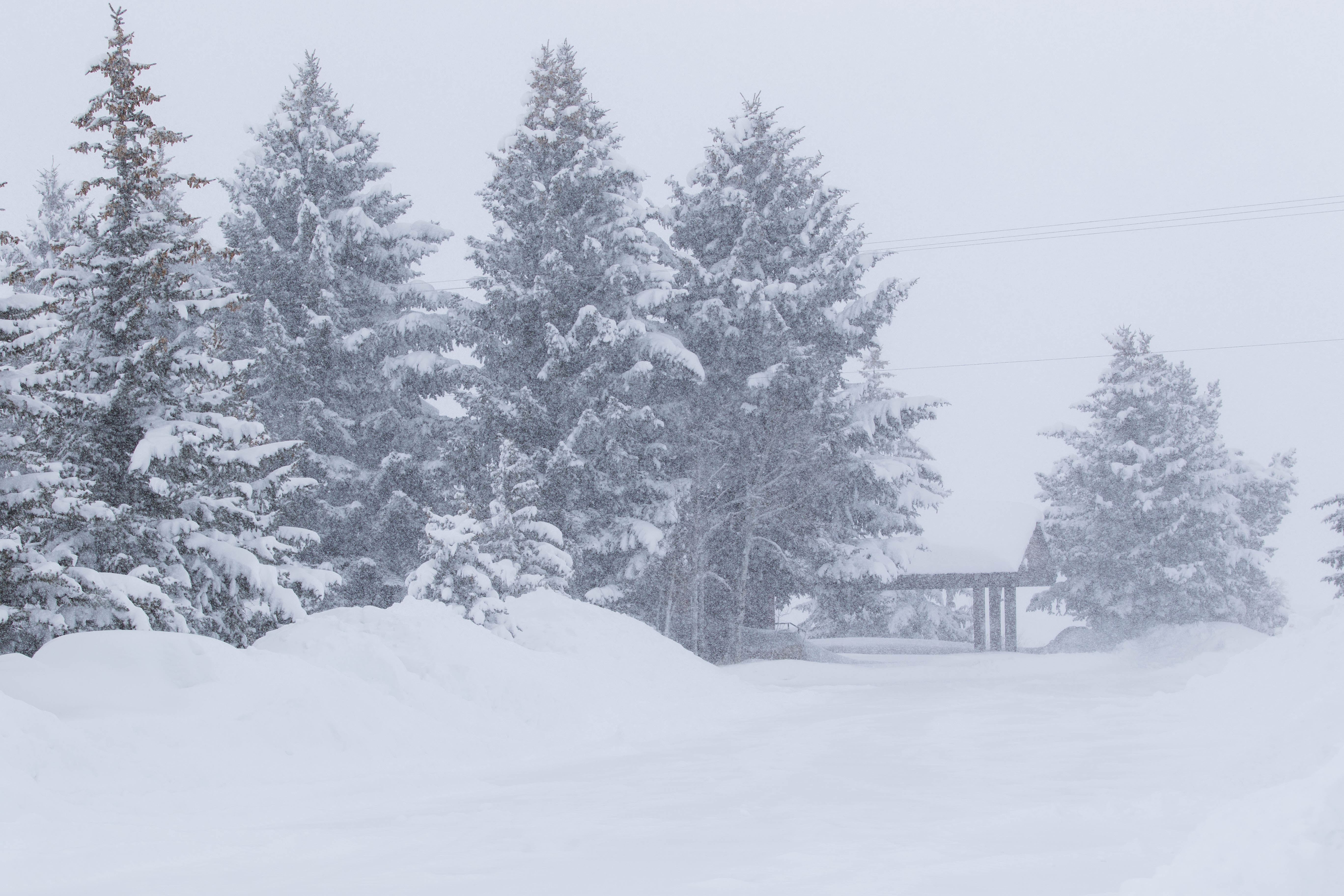 Photos: Idaho mountains getting pounded with feet of snow! And here's ...