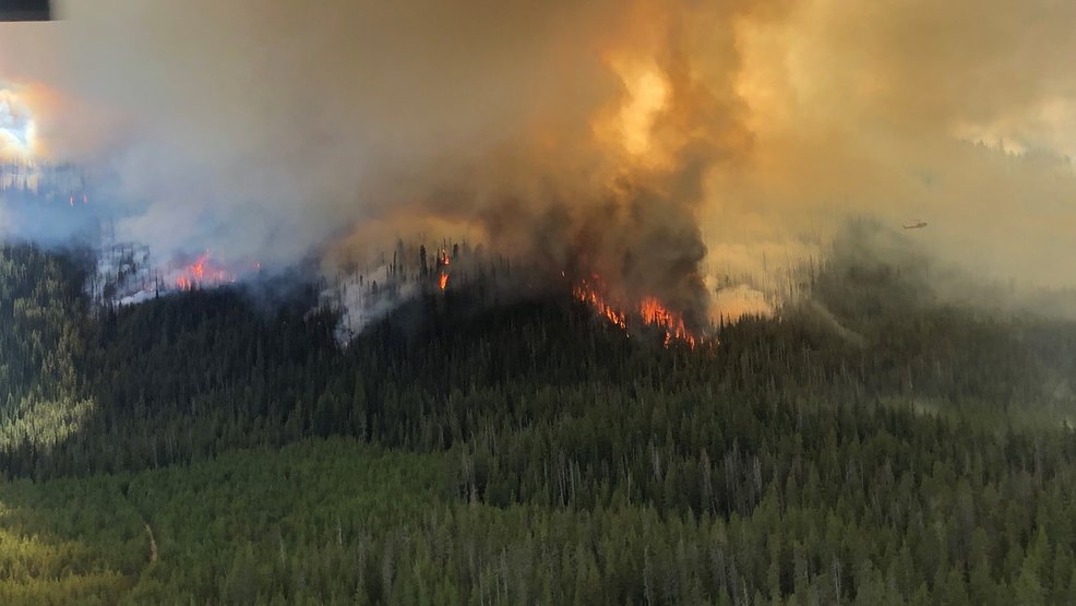 Forest fire north of McCall prompts campground evacuations, road ...