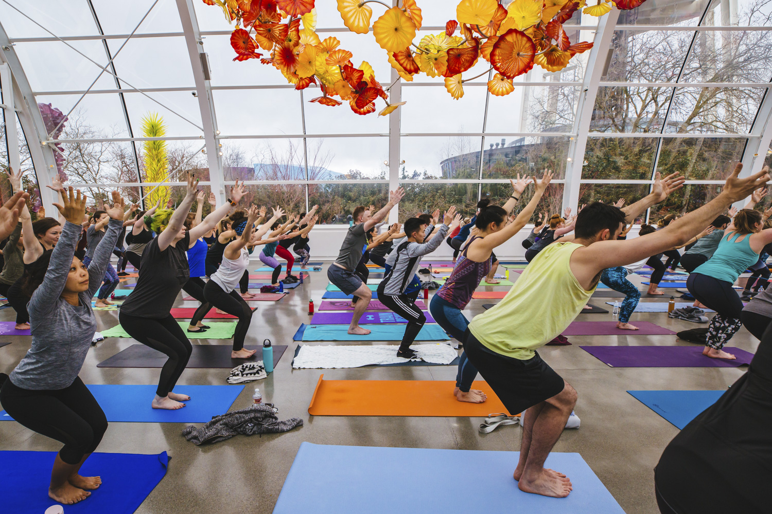 Photos: If you think your yoga class is zen, just wait until you try ...